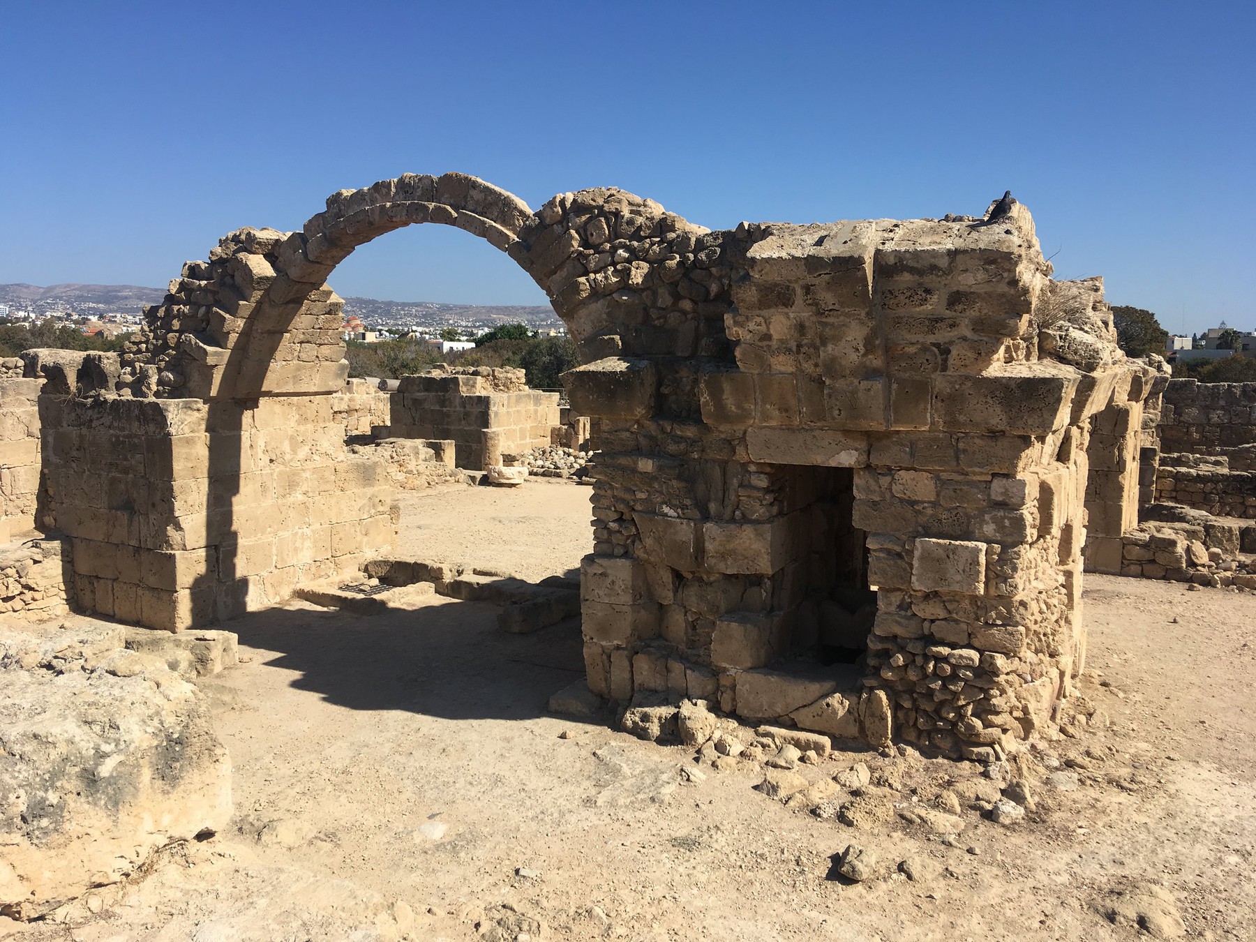 Discover the Ancient Wonders of Paphos Archaeological Site - Paphos Blog